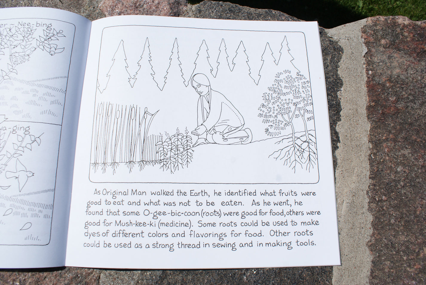 Mishomis Activity/Work Books – Whetung Ojibwa Centre